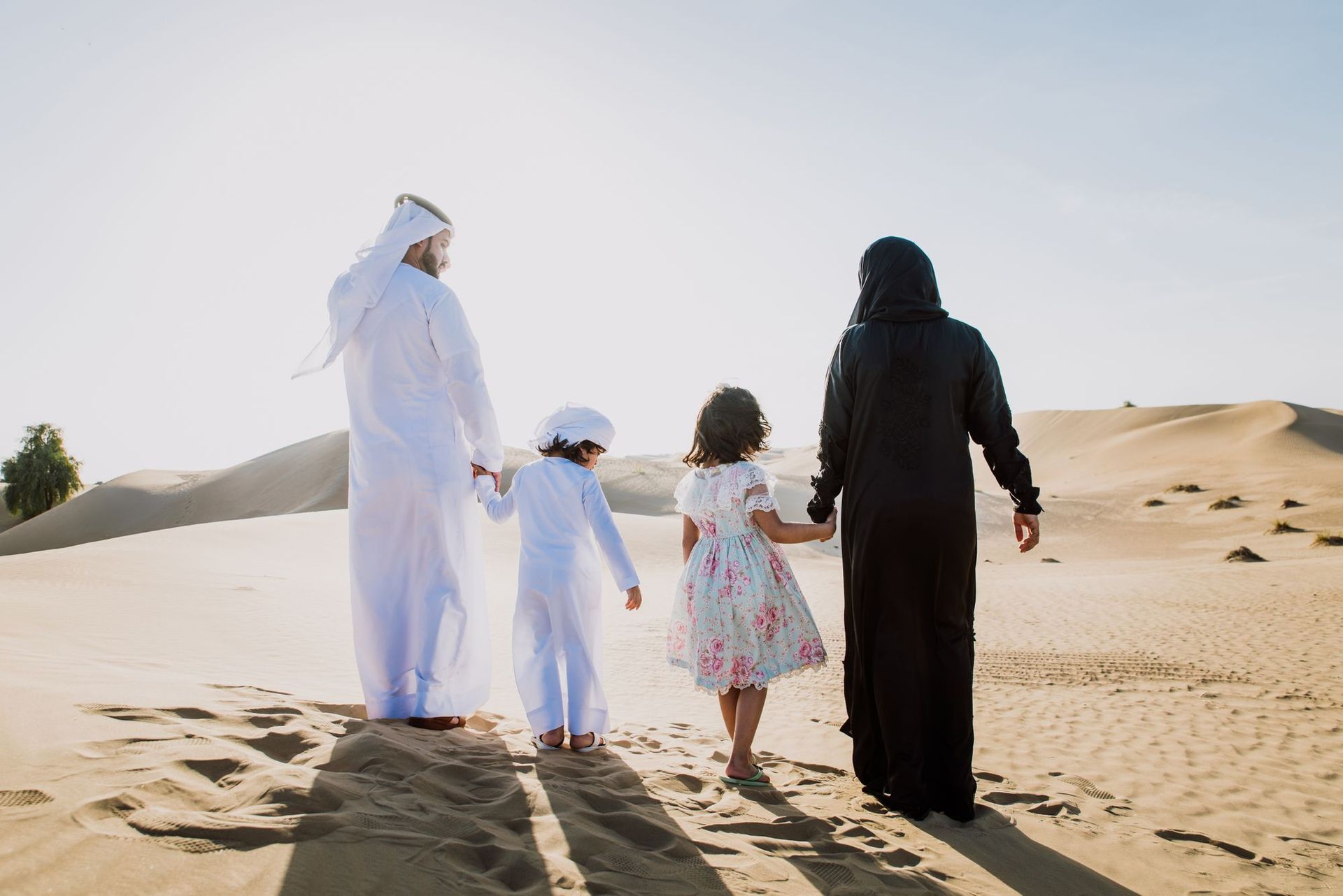 Vitafill B12 | VITAFILL B12